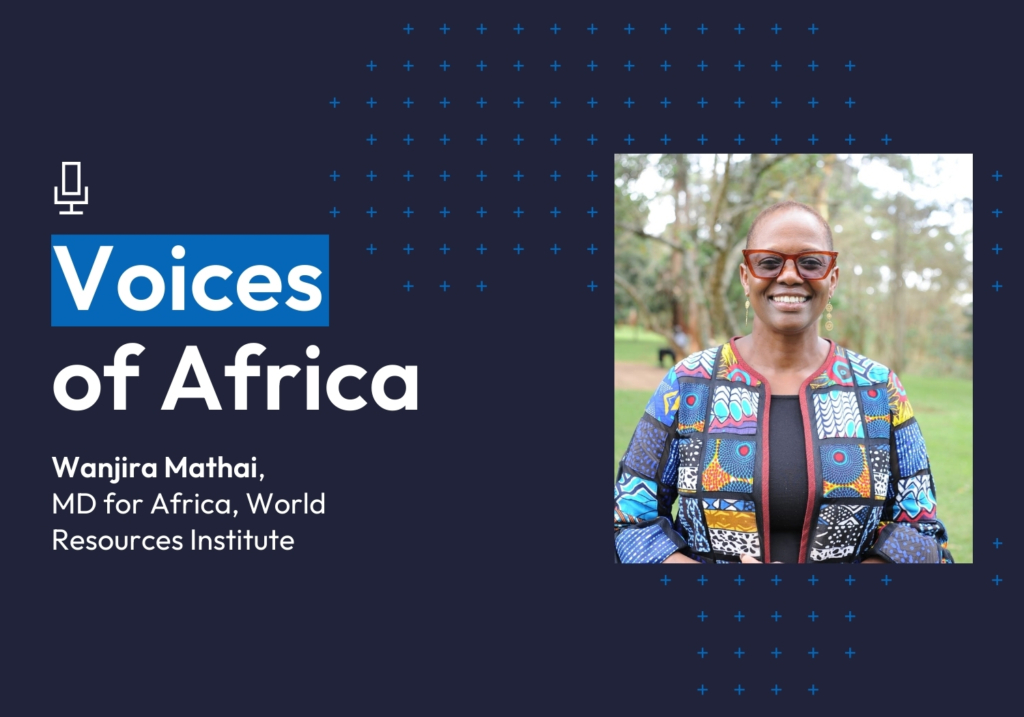 Building resilience: Charting a sustainable African future - Africa ...
